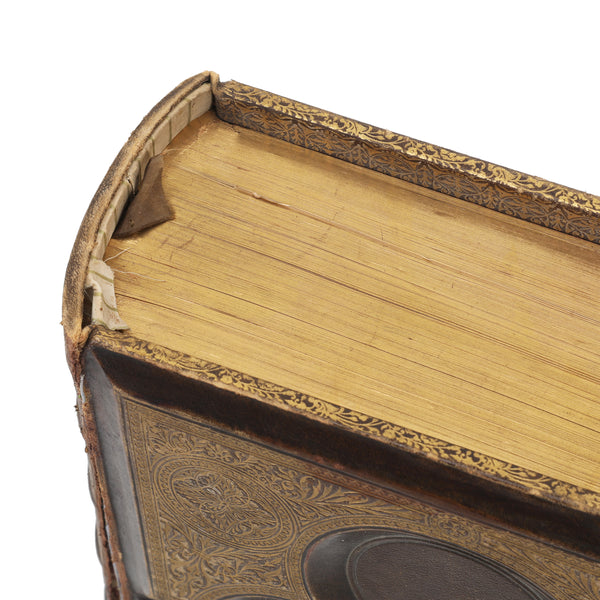 Large Gold & Brown Holy Bible - Gil & Roy Props