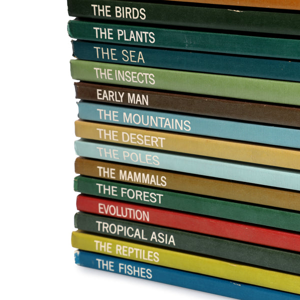 Nature Library Books Collection - Gil & Roy Props