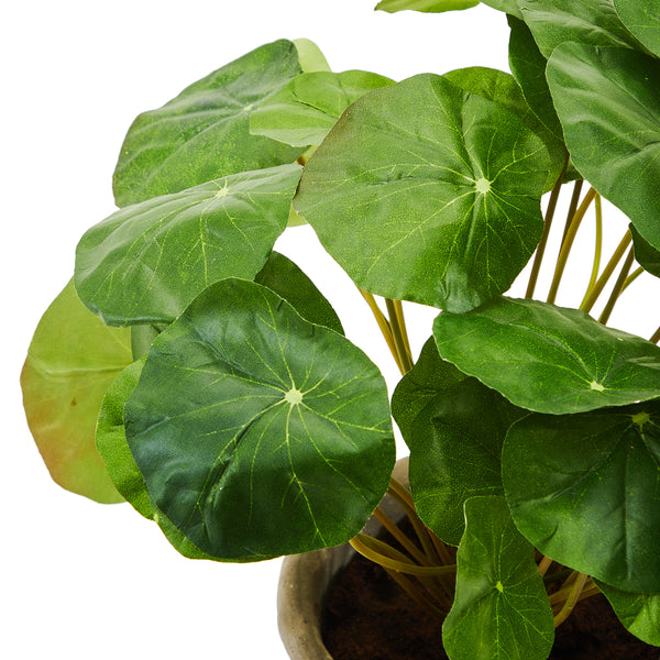 Green Geranium Faux Potted Plant (A+D) - Gil & Roy Props