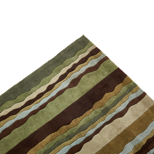 Green Earth Tone Rug - Gil & Roy Props