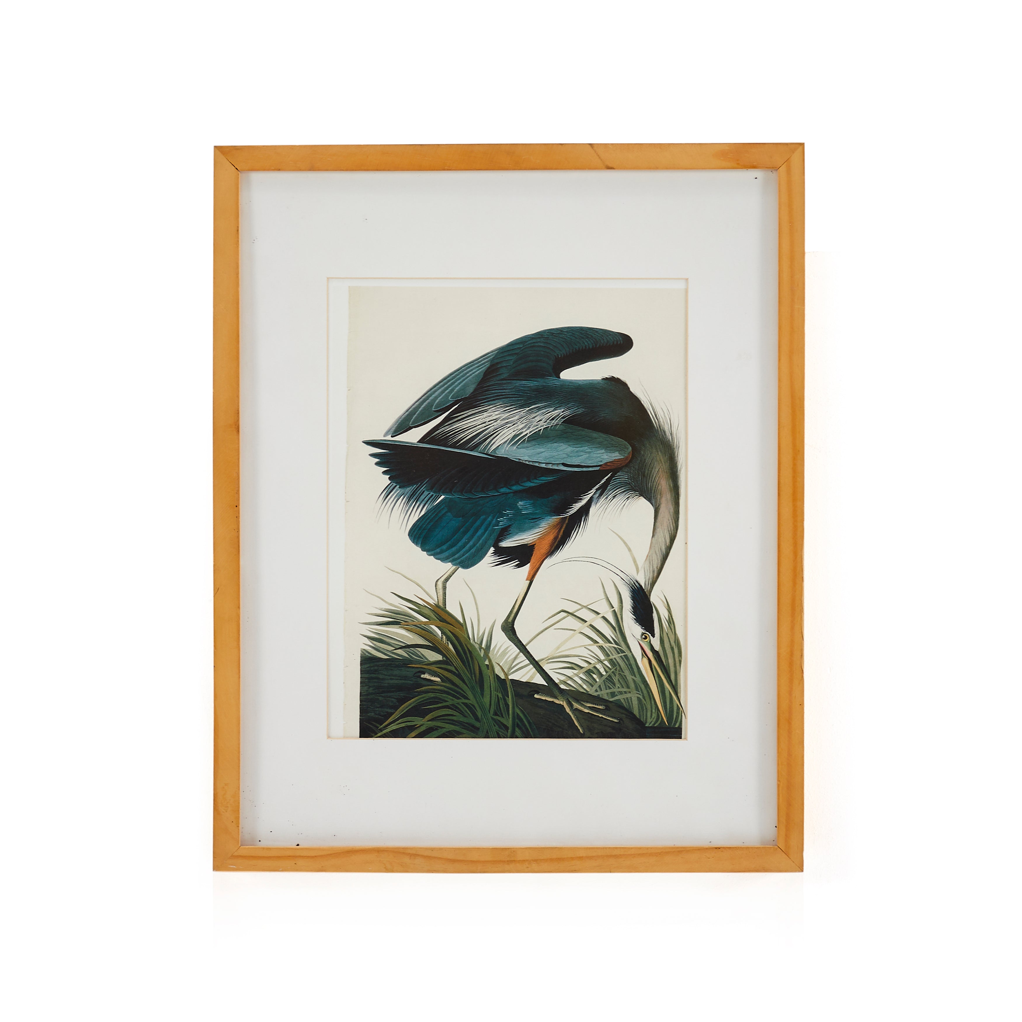 0084 (A+D) Black Bird Art - Gil & Roy Props