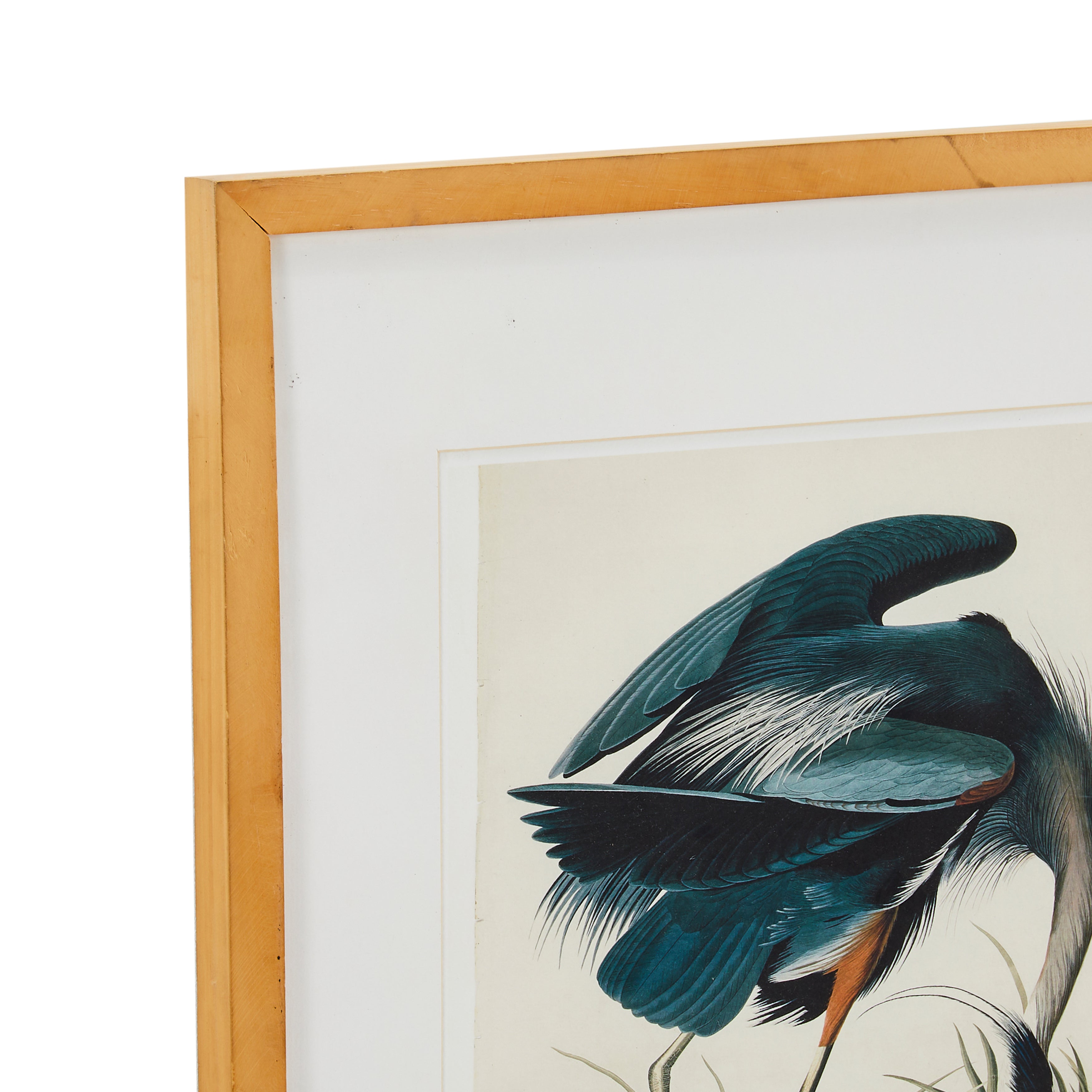 0084 (A+D) Black Bird Art - Gil & Roy Props