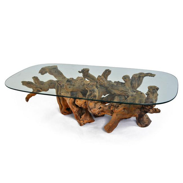 Wood & Glass Gnarled Log Coffee Table - Gil & Roy Props